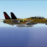 FS2004 Grumman F-14D Tomcat Rev 4 - Flight Simulator 2004 Mod
