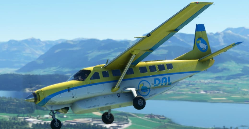 Dodo Airline from Animal Crossing for 208B v1 (1) - Flight Simulator ...
