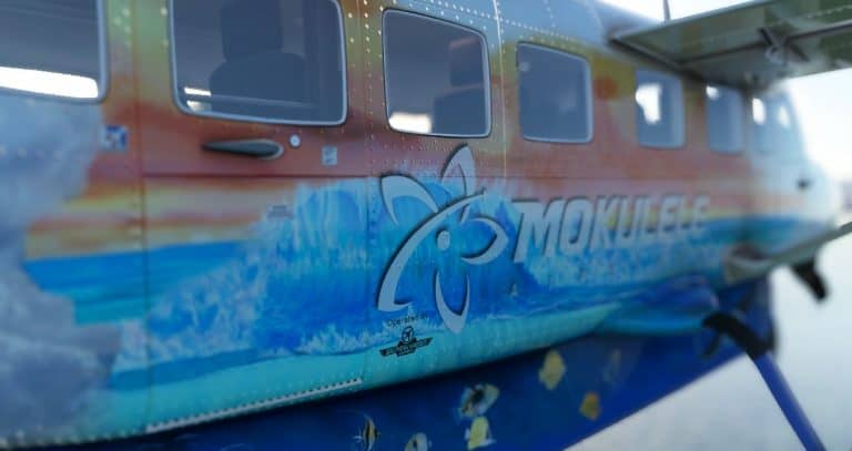 Mokulele Big Island Air Cessna 208b Grand Caravan EX Livery v1.1 (4 ...