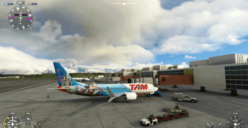 B737 TAM-DISNEY v1.0 - MSFS 2020 Liveries Mod