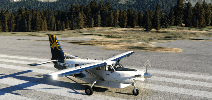 MSFS 2020 Liveries | Microsoft Flight Simulator 2020 Liveries